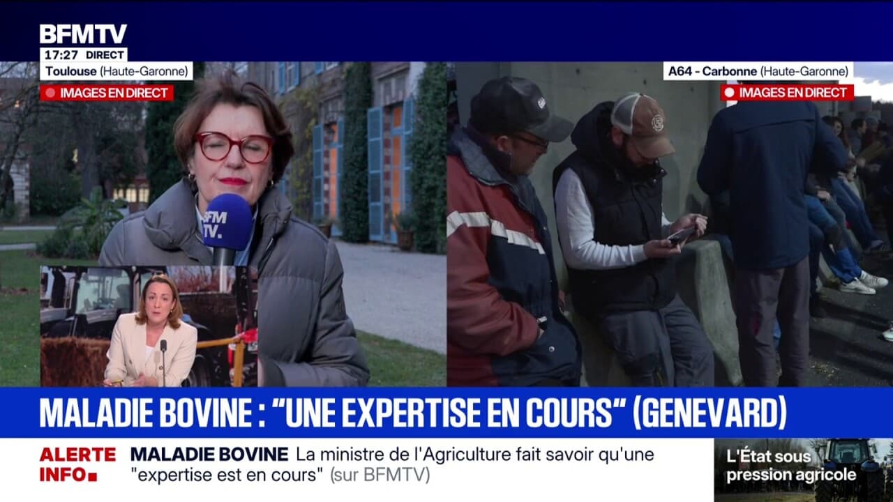Pour Annie Genevard, l'accord UE-Mercosur “n'est pas bon, il faut le ...