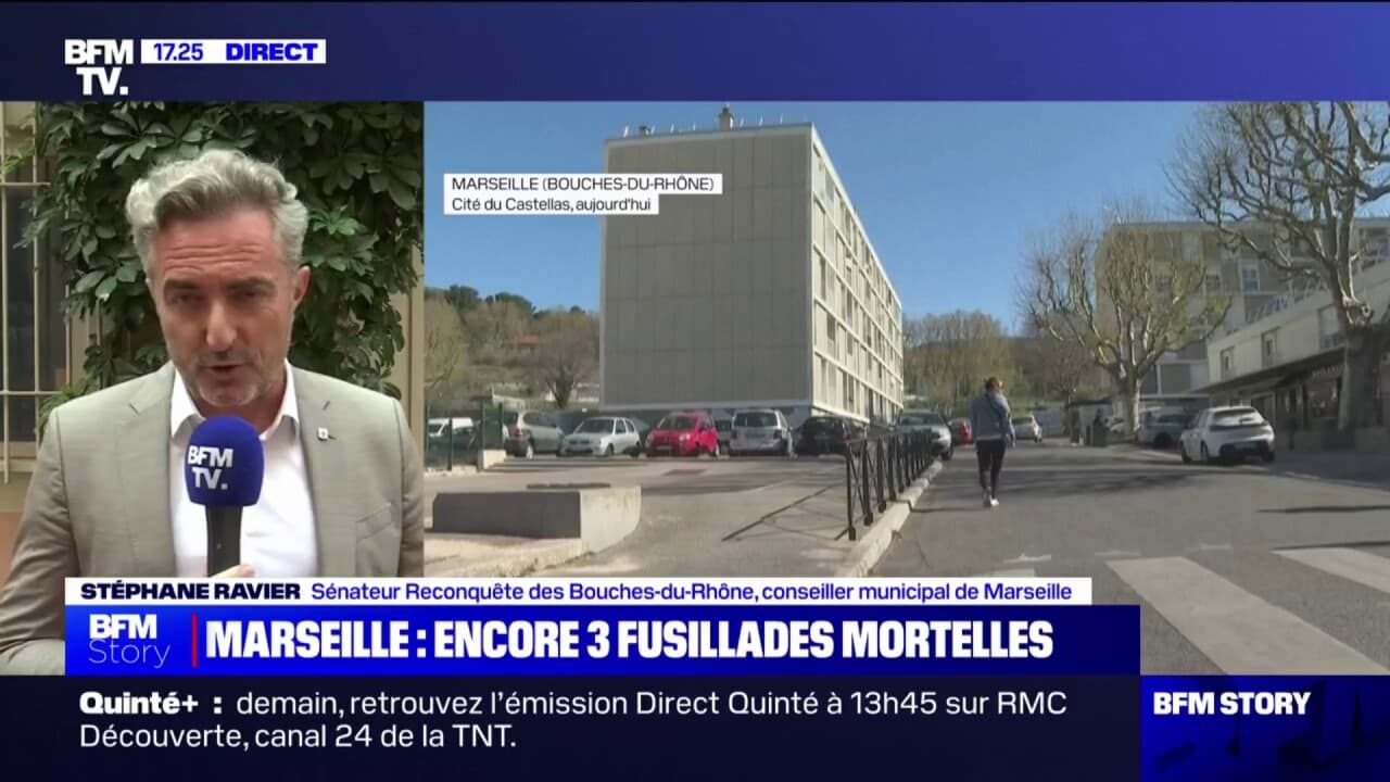 Stéphane Ravier, sénateur "Reconquête" des Bouches-du-Rhône, sur le ...