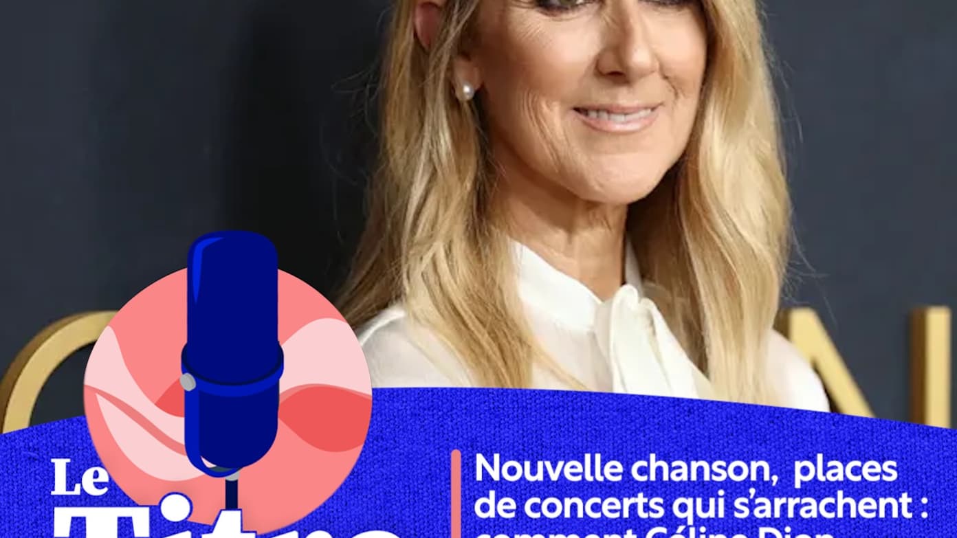 Nouvelle chanson avec Goldman, places de concerts qui s'arrachent ...