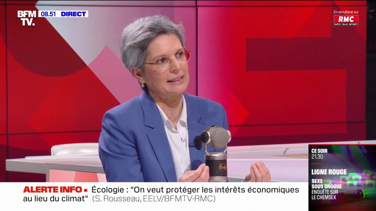Sandrine Rousseau: "La déshumanisation est la première étape de ...