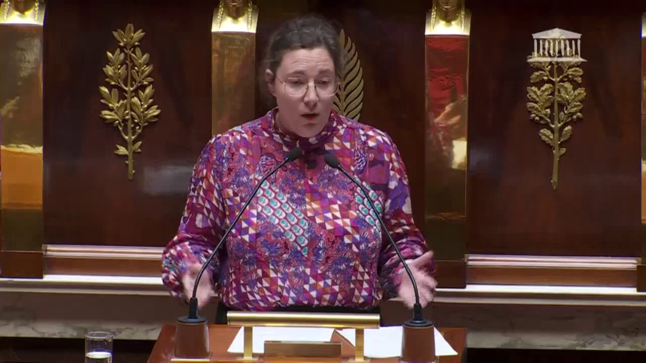 Cyrielle Chatelain (EELV) à Élisabeth Borne: "Vous avez raison: le ...
