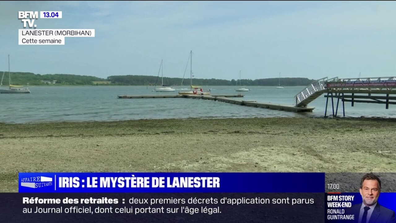 Une semaine après la découverte du corps d'Iris à Lanester dans le Morbihan, le mystère reste entier