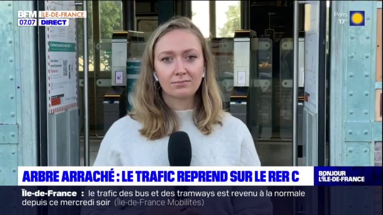 RER C: le trafic reprend mais reste perturbé sur la ligne après la chute d'un arbre sur les voies
