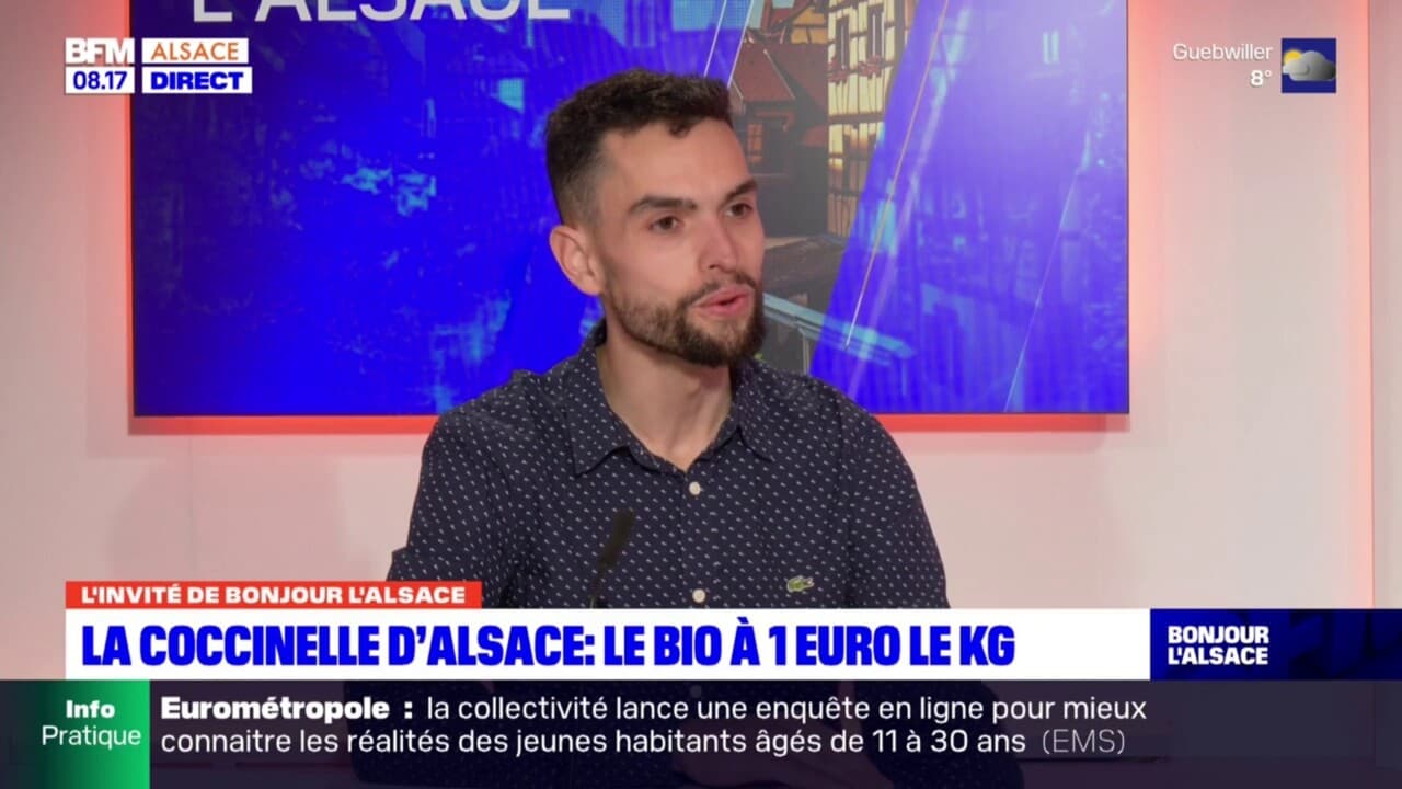 "On préfère ne pas gaspiller": en Alsace, un maraîcher vend son kilo de ...