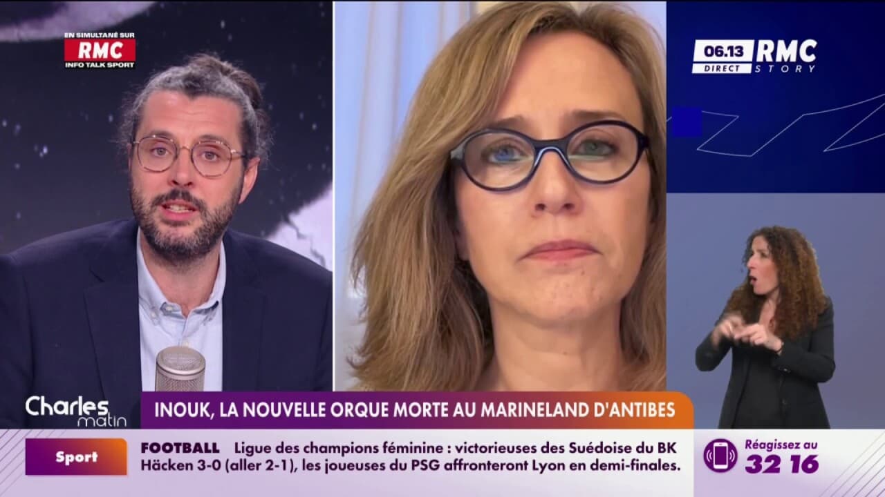 Inouk, la nouvelle orque morte au Marineland d'Antibes