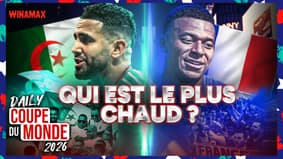 Les lions veulent MANGER le coq ! - Daily #06
