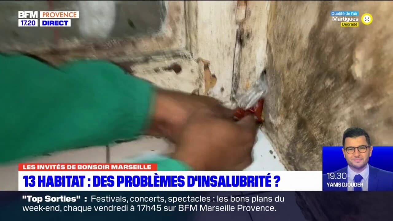 Marseille: l'insalubrité persiste dans certains logements du bailleur "13 Habitat"