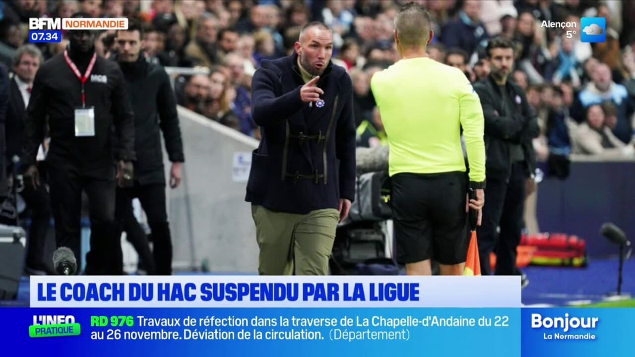 Le Havre: Didier Digard et l'entraîneur des gardiens suspendus un match en Ligue 1