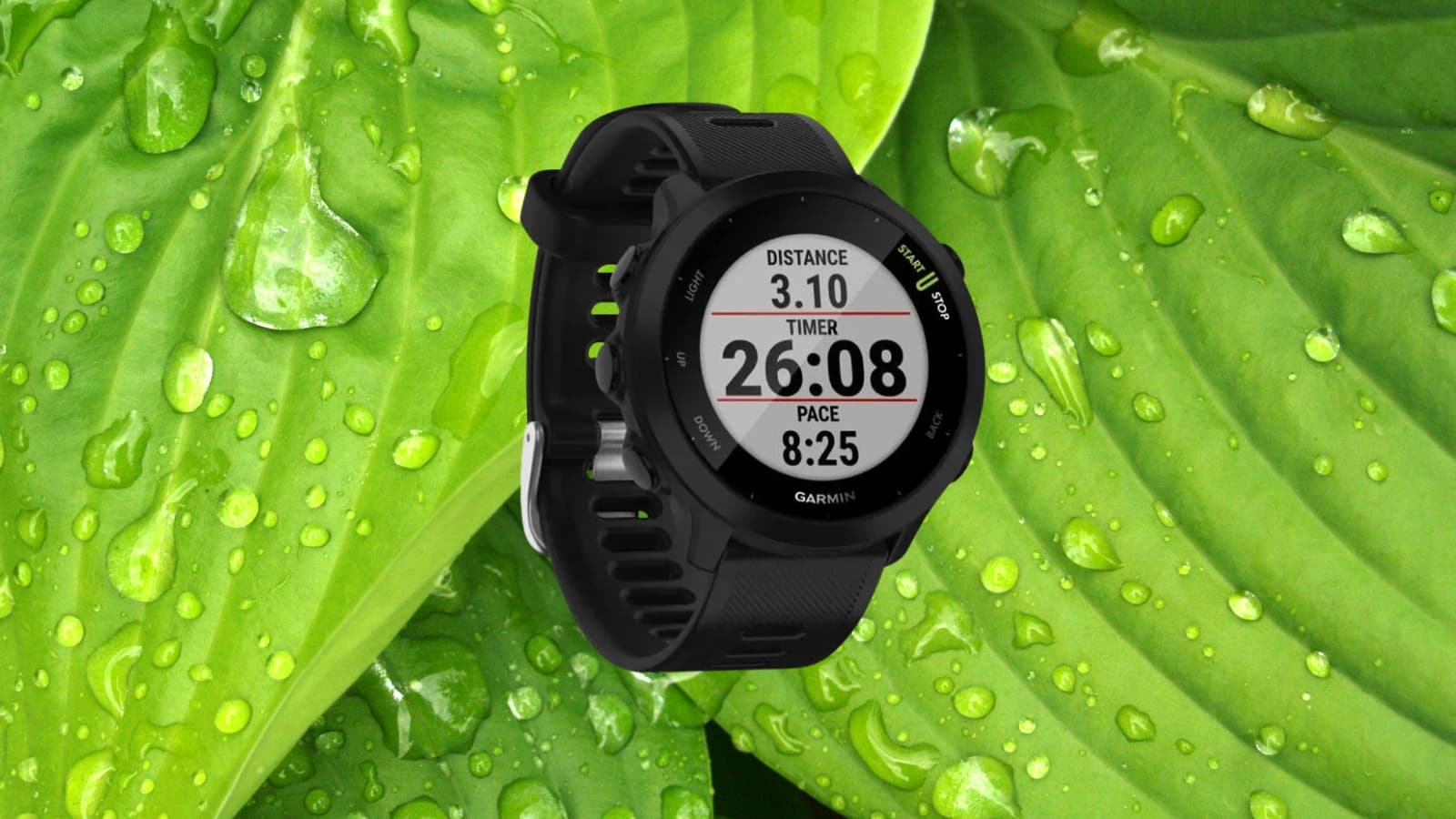Cette montre Garmin à moins de 160 euros fera-t-elle de vous un vrai ...