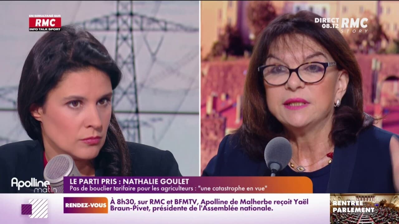 Le parti pris de Nathalie Goulet : Pas de bouclier tarifaire pour les agriculteurs : "une ...