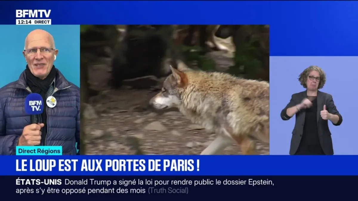 "Il n'y a rien d'étonnant": le département de Seine-et-Marne a confirmé ...