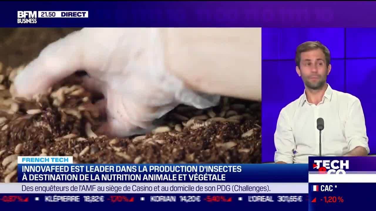 Plongée dans la French tech: Agriconomie, le site marchand de référence ...