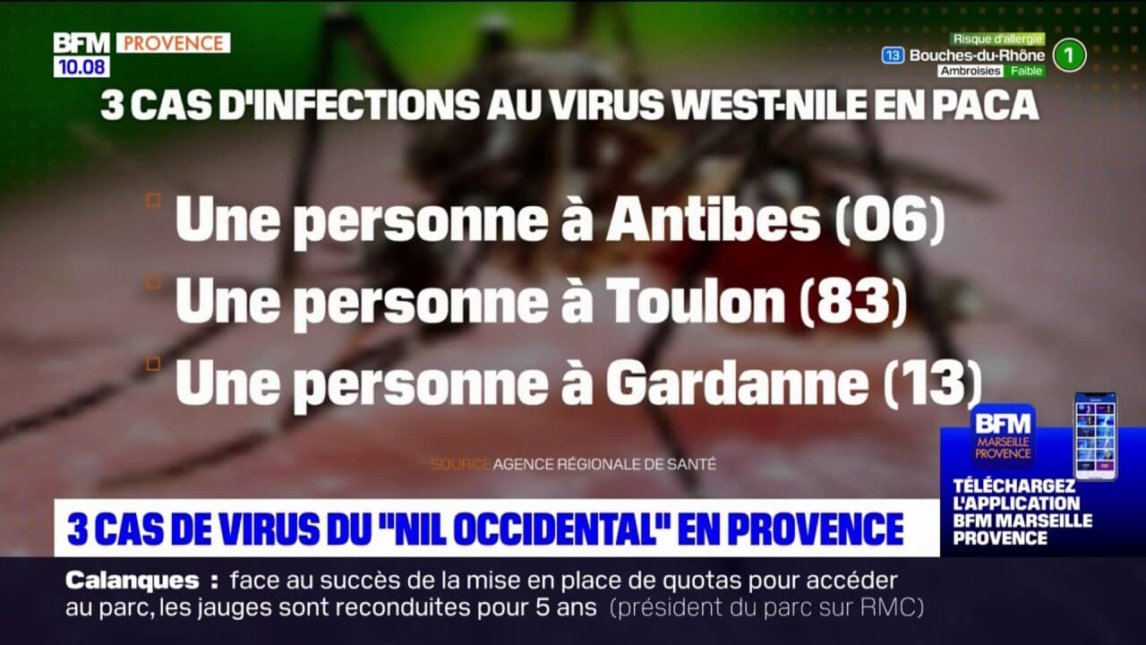 Le Ya Degun Festival se tient à Six-Fours-les-Plages