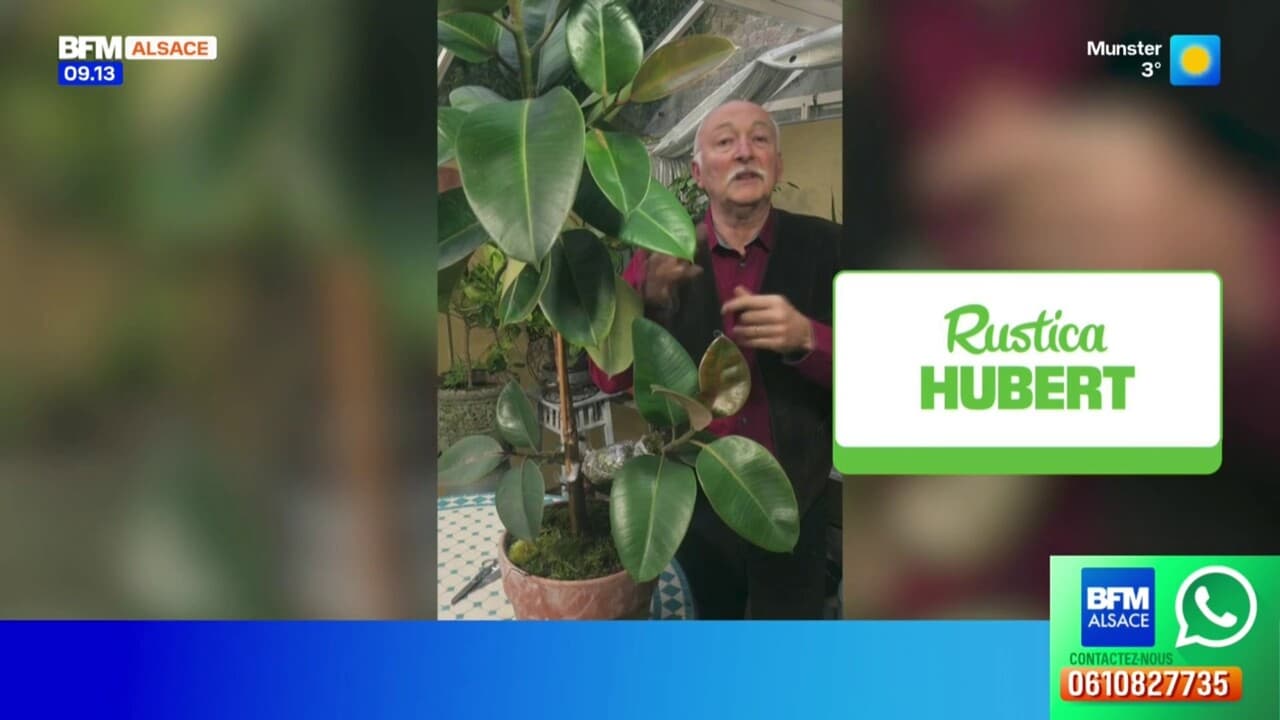 Jardinage, Titanic et Jeux vidéo...- La météo de Colas du mardi 18 ...