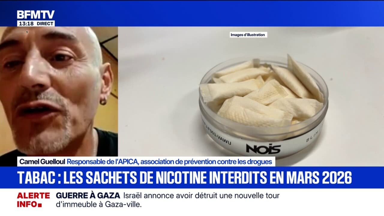 Interdiction des sachets de nicotine: "Ce produit n'a rien à faire ...