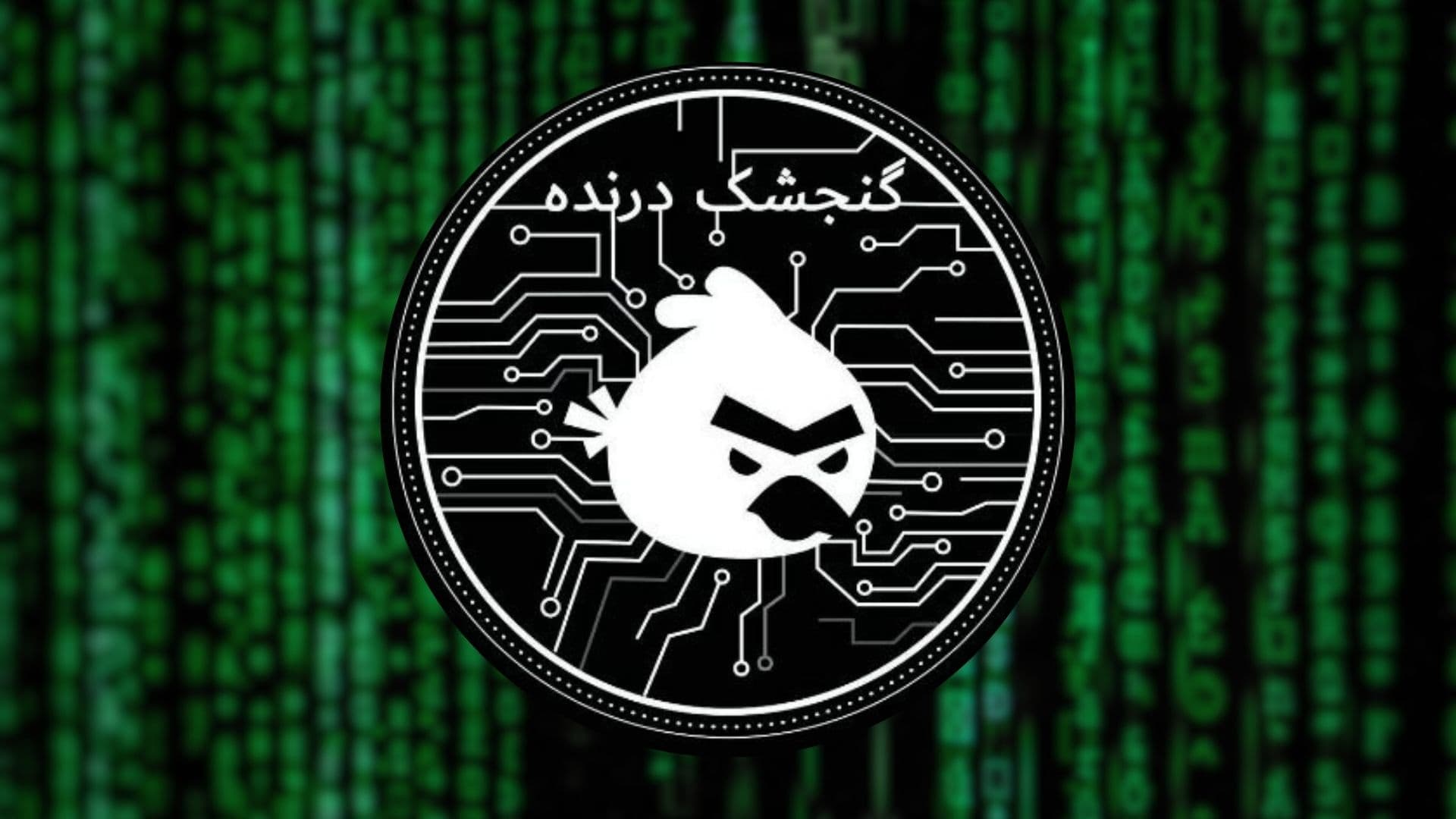 Israël-Iran: qu'est-ce que Predatory Sparrow, le groupe de hackers pro ...