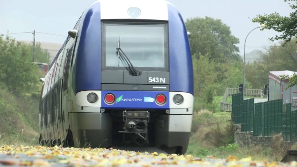 Retards, suppressions de trains... la galère des usagers de la ligne P du Transilien