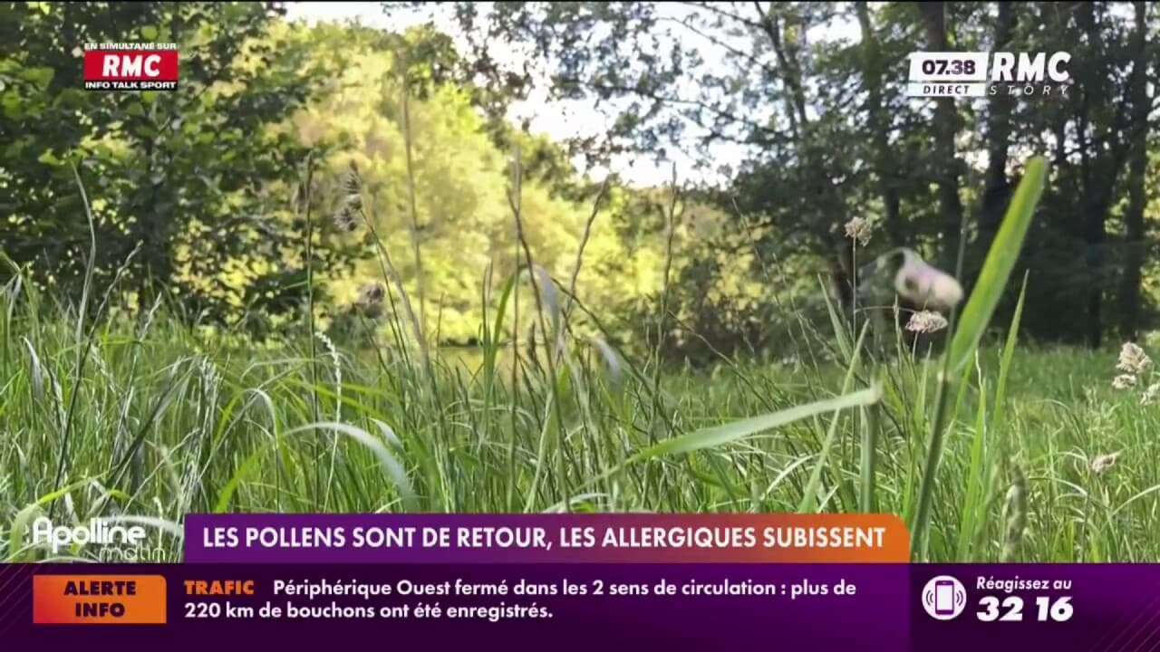 Les pollens sont de retour, les allergiques subissent