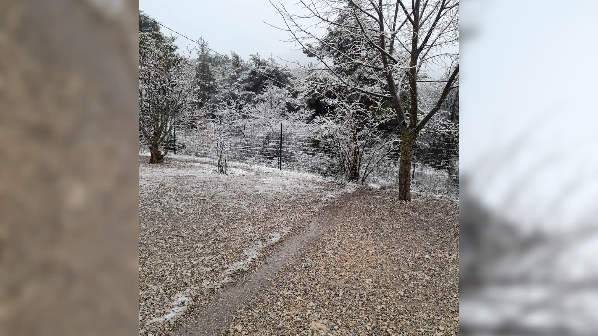 Provence-Alpes-Côte d'Azur: les images de la neige tombée mardi à plus ...