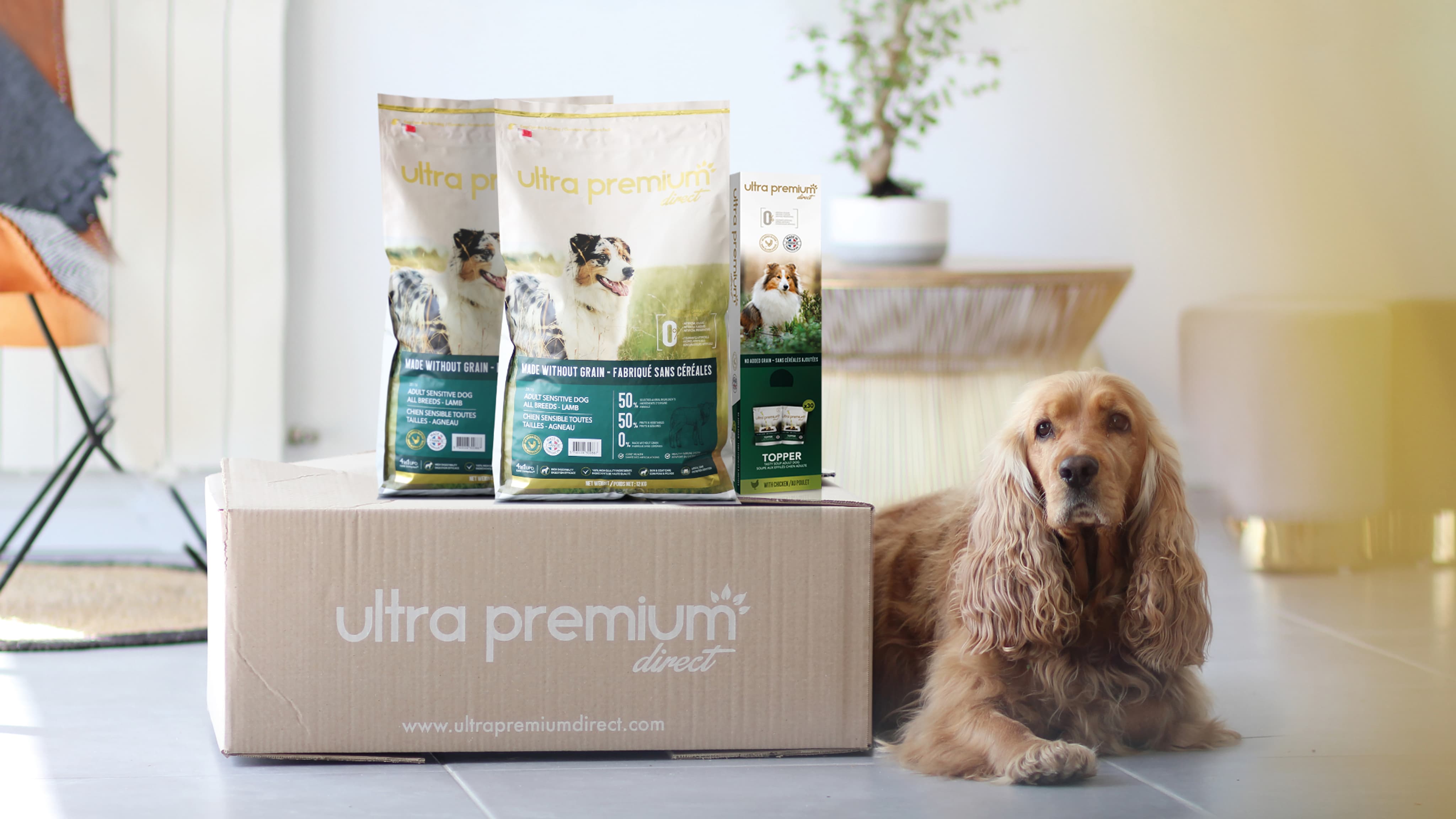 Ultra Premium Direct : améliorez la vie de vos animaux avec des ...