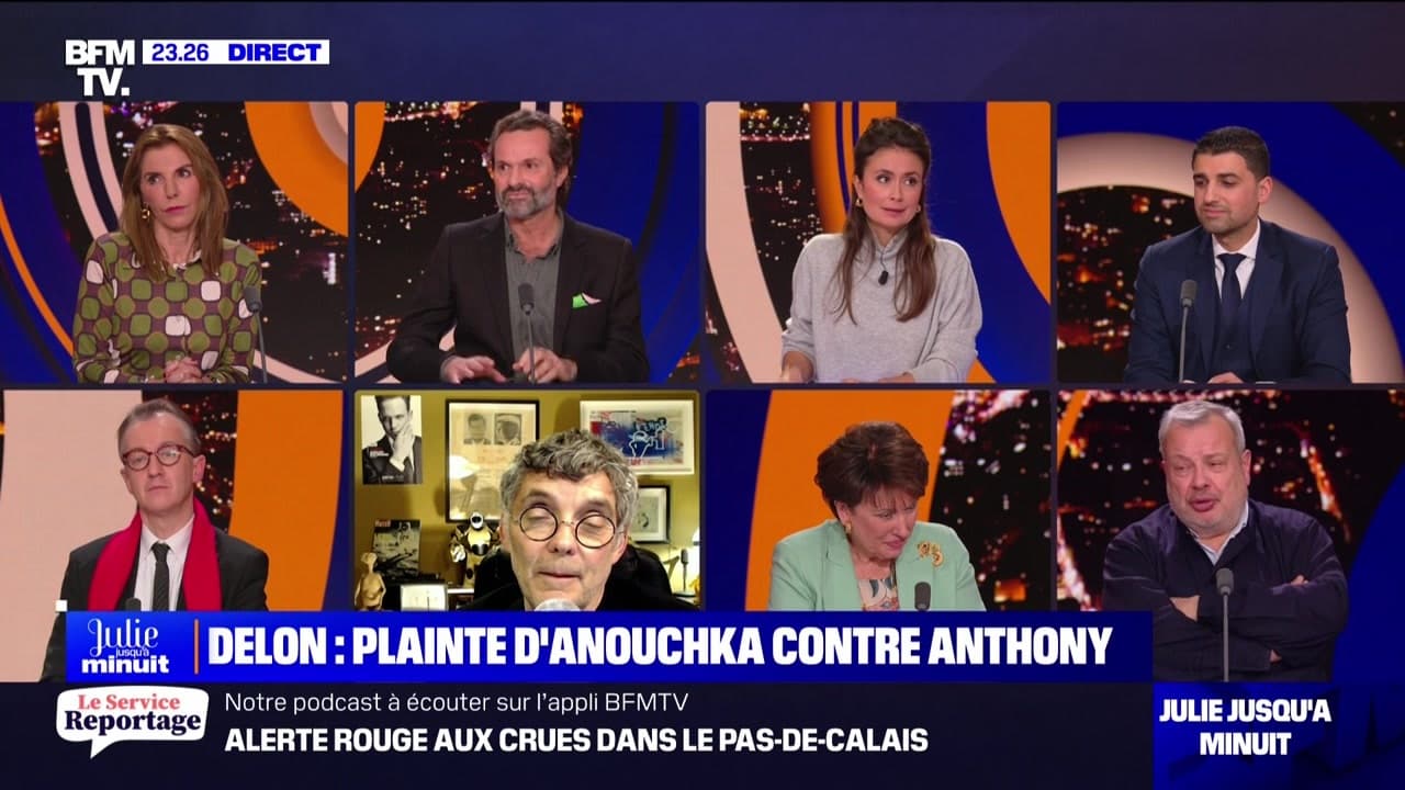 Delon : début d'une bataille pour l'héritage ? - 04/01