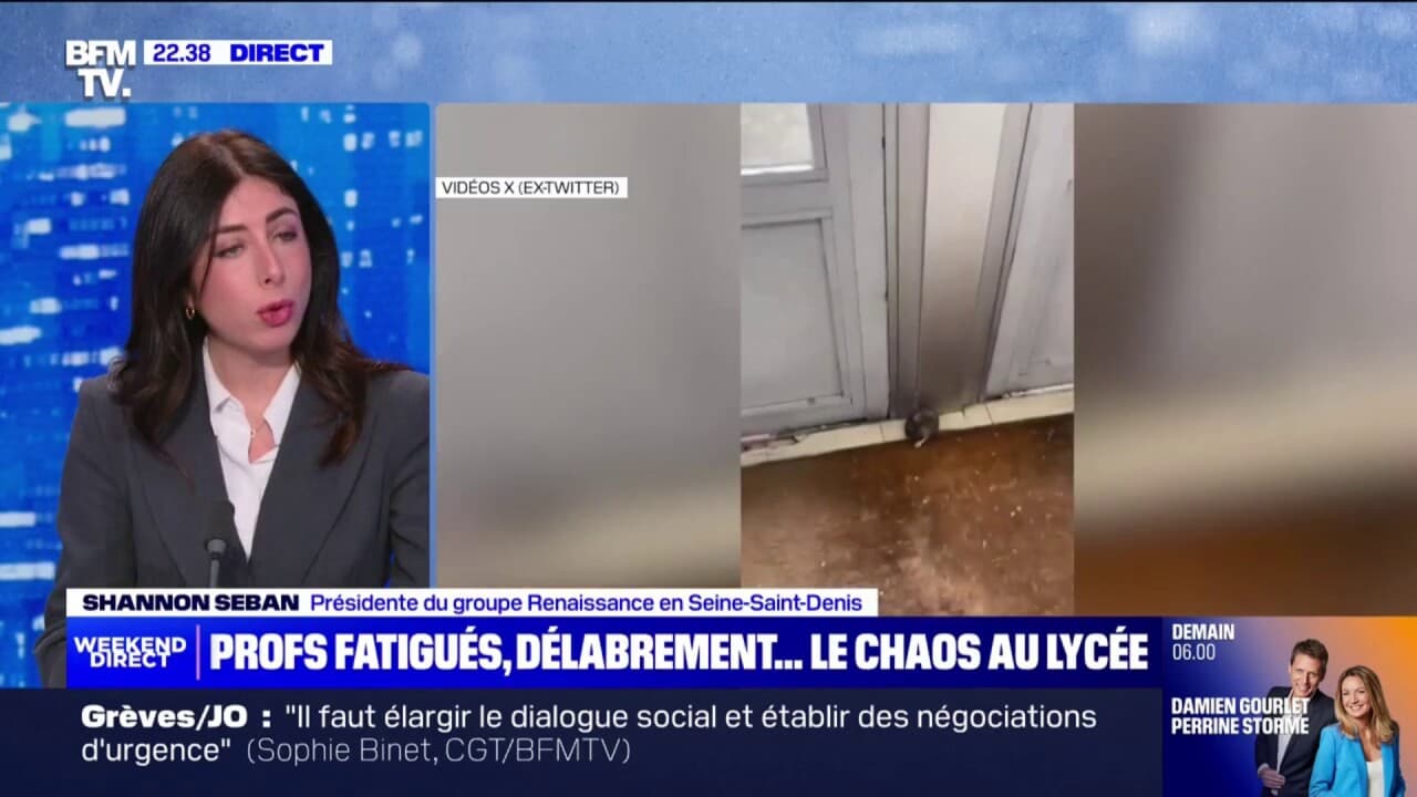 Shannon Seban (présidente du groupe Renaissance en Seine-Saint-Denis ...