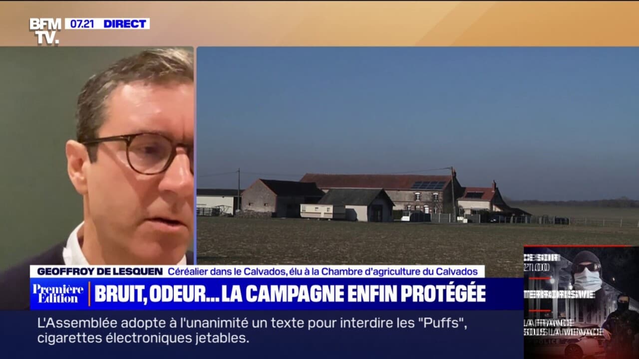 Conflits entre agriculteurs et néo-ruraux: "Il faut travailler bien en ...