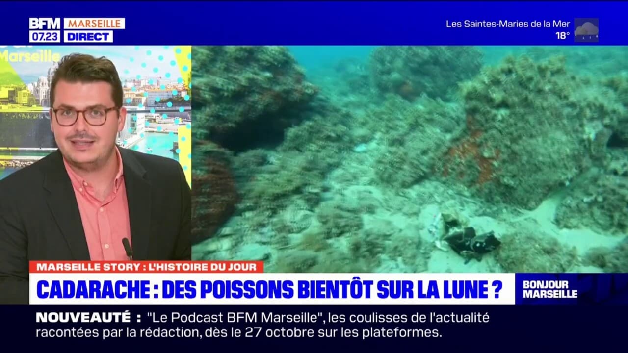 Cadarache: des chercheurs étudient la possibilité de vie des poissons ... Cadarache: des chercheurs étudient la possibilité de vie des poissons ...