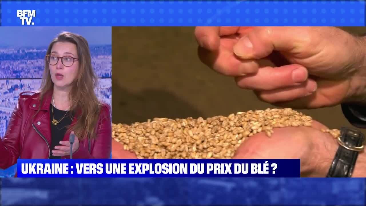 Ukraine: vers une explosion du prix du blé ? - 26/02 Ukraine: vers une explosion du prix du blé ? - 26/02