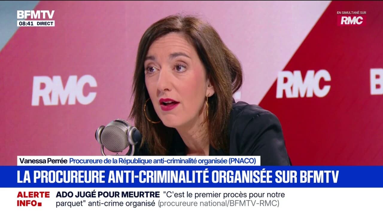 Vanessa Perrée, procureure de la République anti-criminalité organisée ...