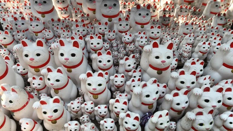 Tokyo: un temple des chats porte-bonheur attire les instagrammeurs