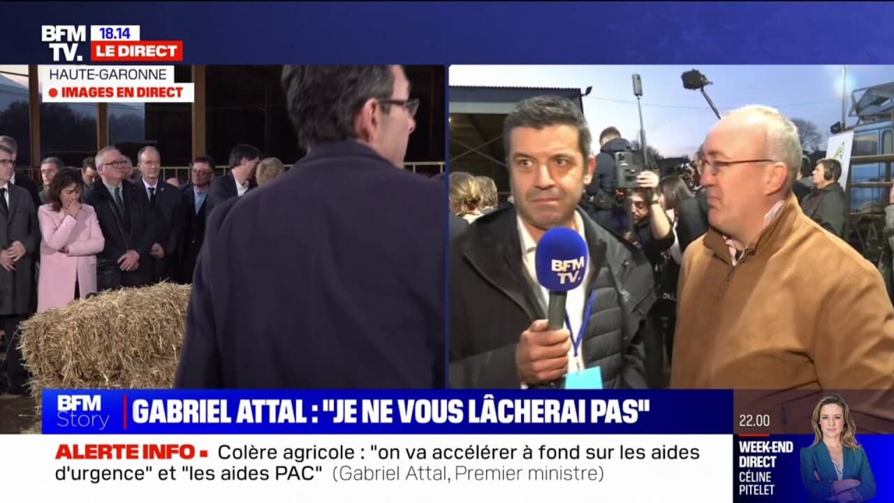"Beaucoup de mesurettes": Luc Mesbah, secrétaire général FDSEA de la ...