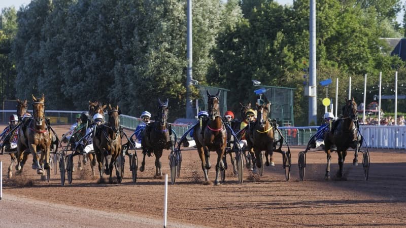 Les Pronos Hippiques Du Jeudi 11 Juillet 2024