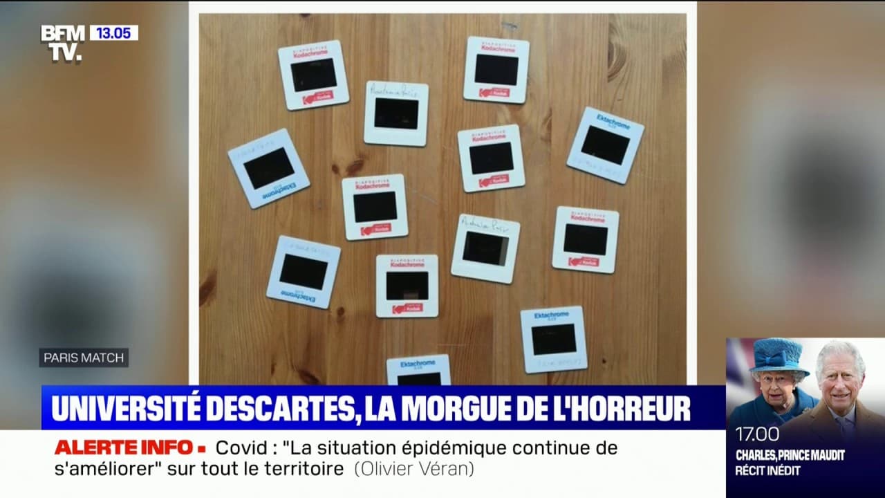 Des photos révèlent que le charnier de l'Université Paris-Descartes ...
