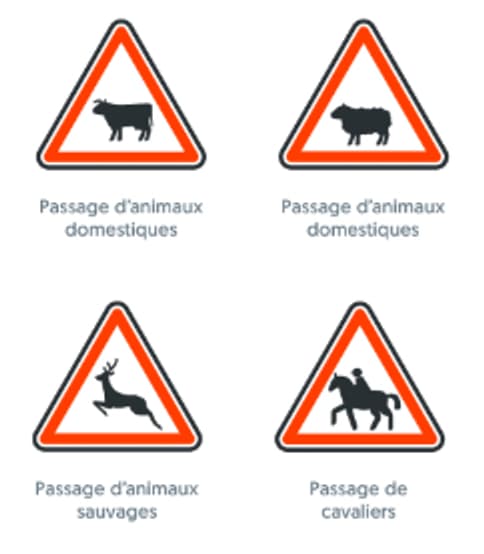 Panneau Animaux Sauvages Code De La Route