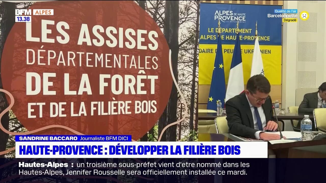Alpes-de-Haute-Provence: les Assises de la forêt et de la filière bois ...