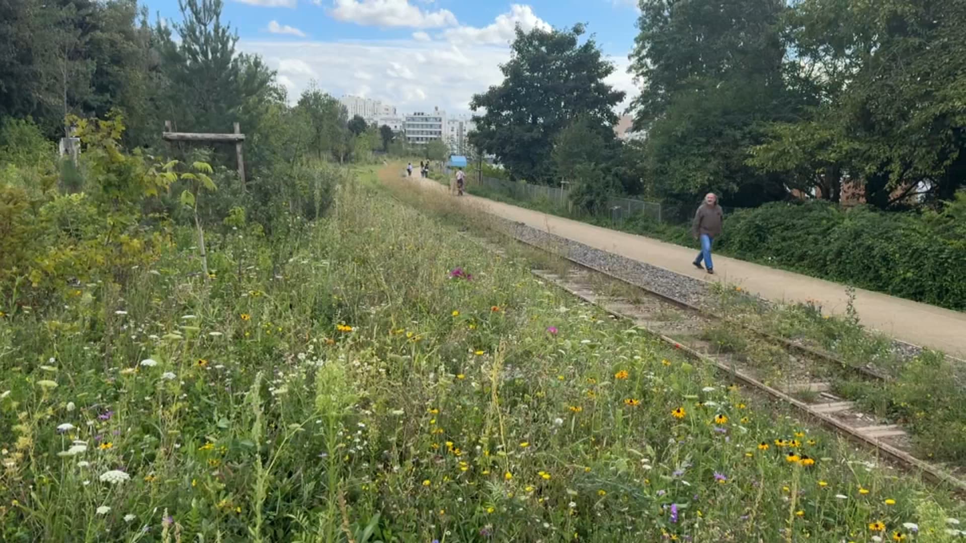 Anne Hidalgo inaugure le Bois de Charonne, la deuxième "forêt urbaine ...