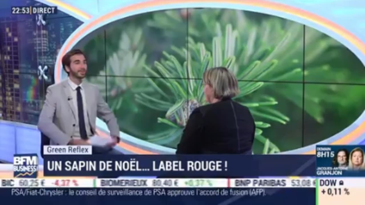 Green Reflex: un sapin de Noël... Label Rouge ! - 17/12