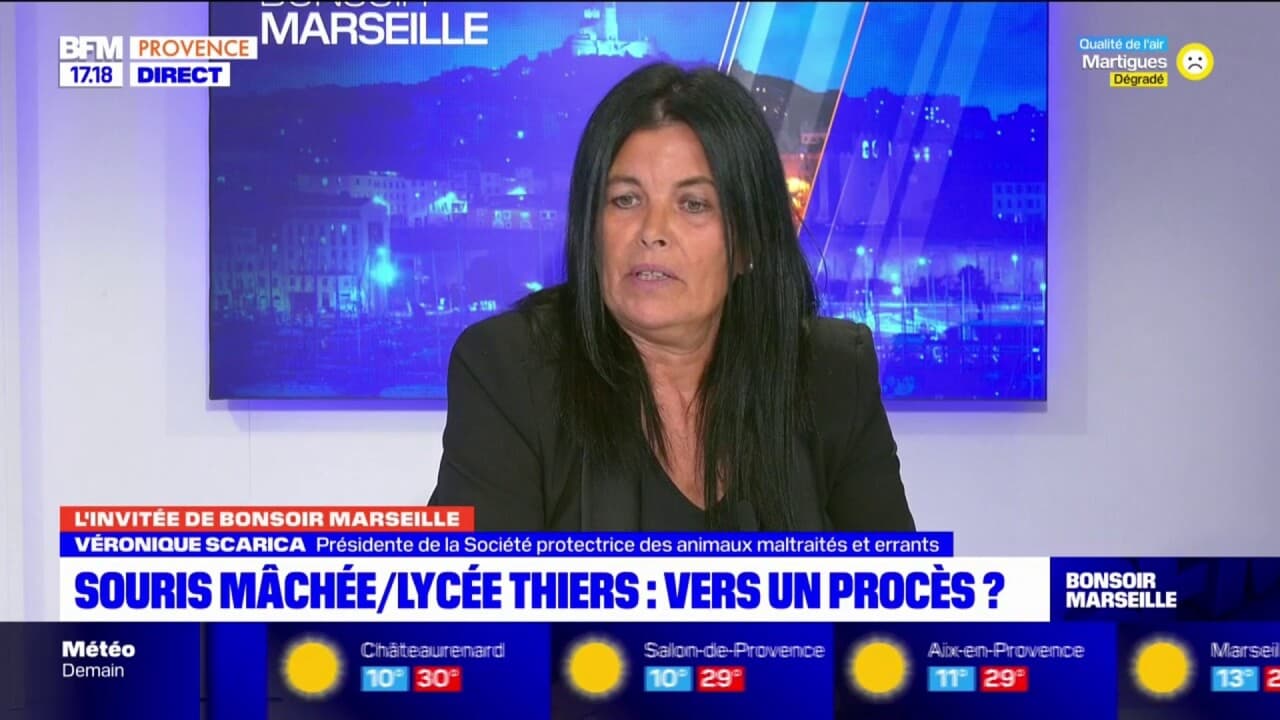 Me Isabelle Gharbi-Terrin, avocate pénaliste et Véronique Scarica ...