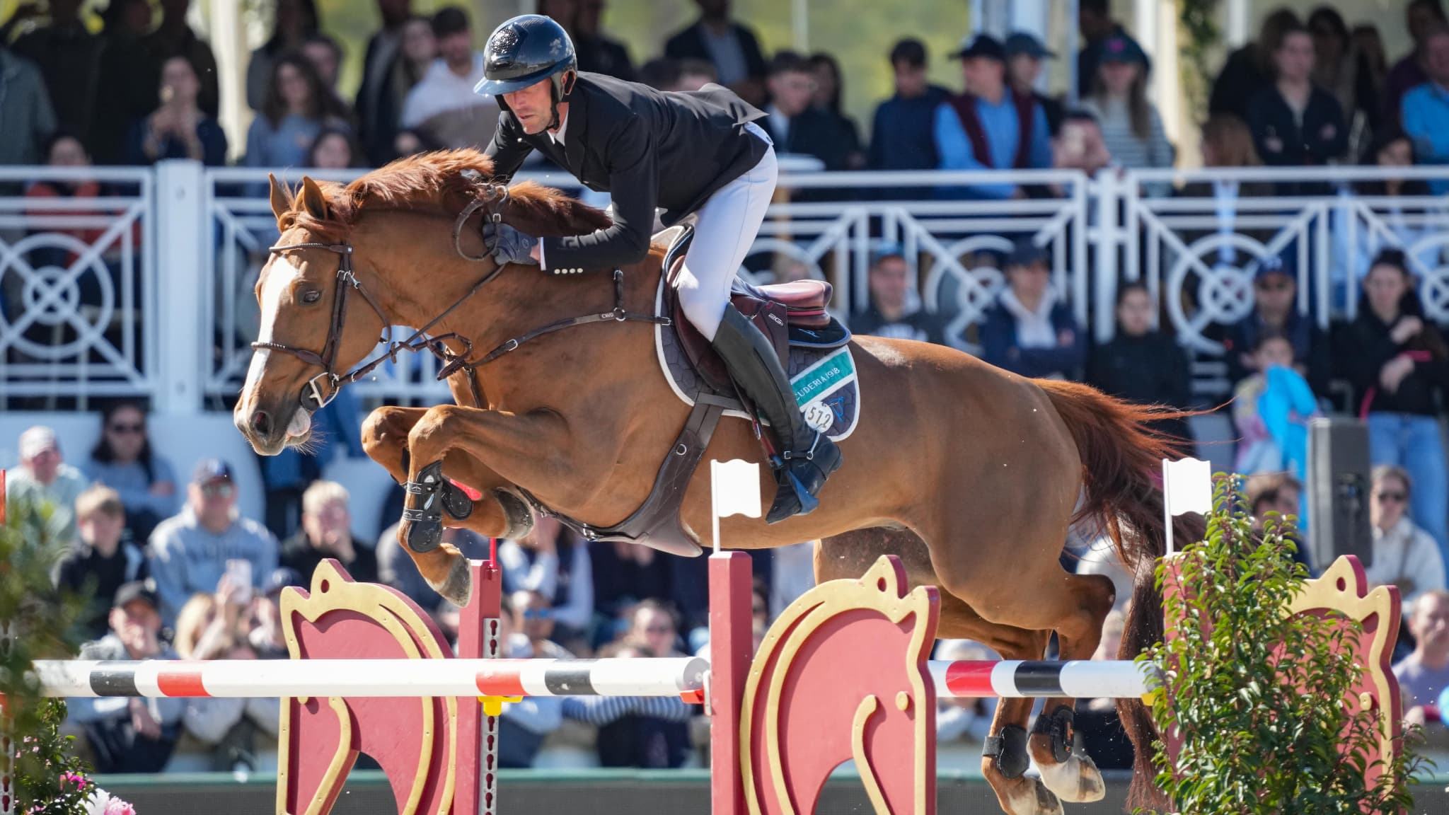 JO 2024 (équitation): un des chevaux de l'équipe de France de saut d ...