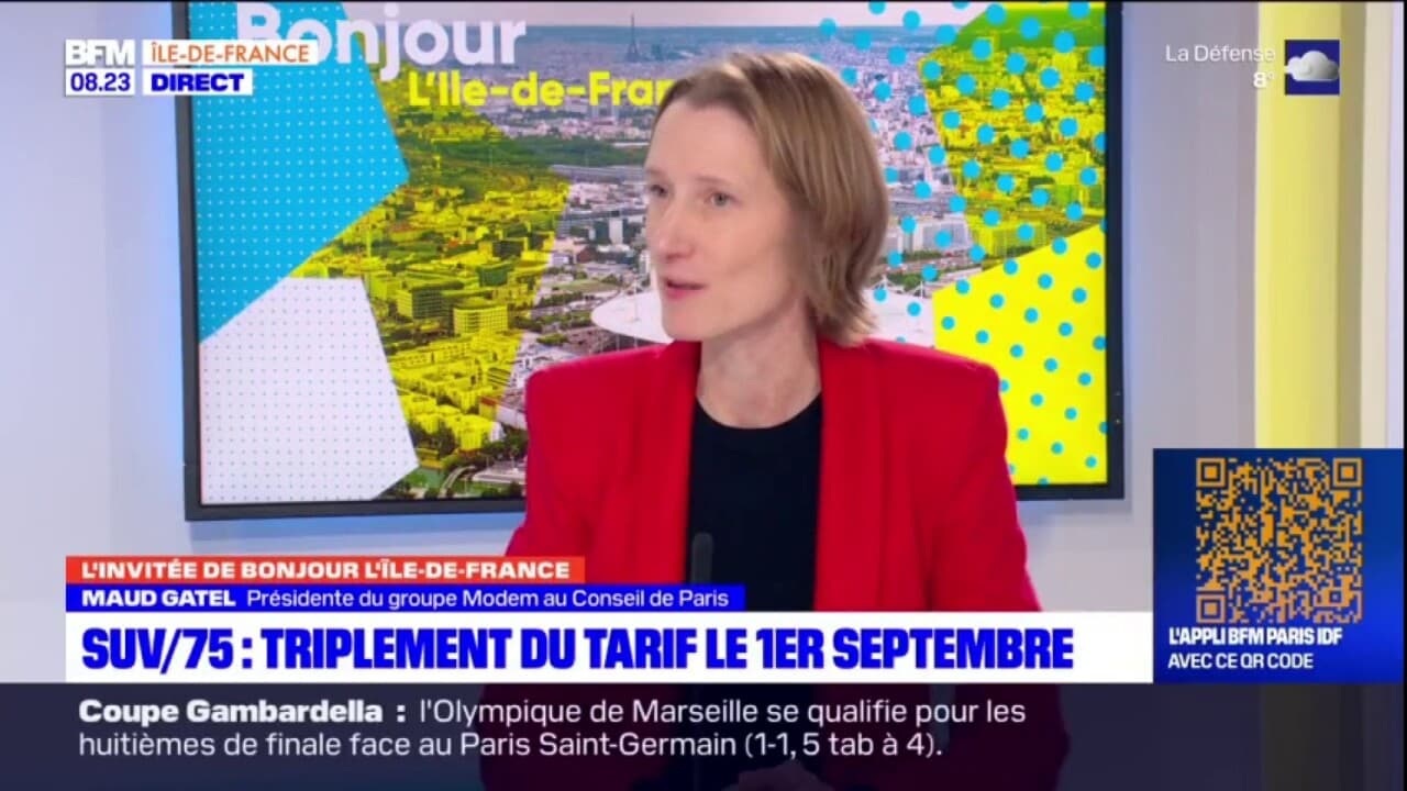 Maud Gatel explique le vœu qui concerne la place de la Concorde qui ...