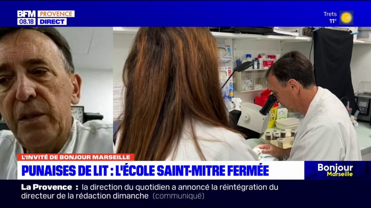 Marseille: les punaises de lit en "recrudescence" partout dans le monde ...