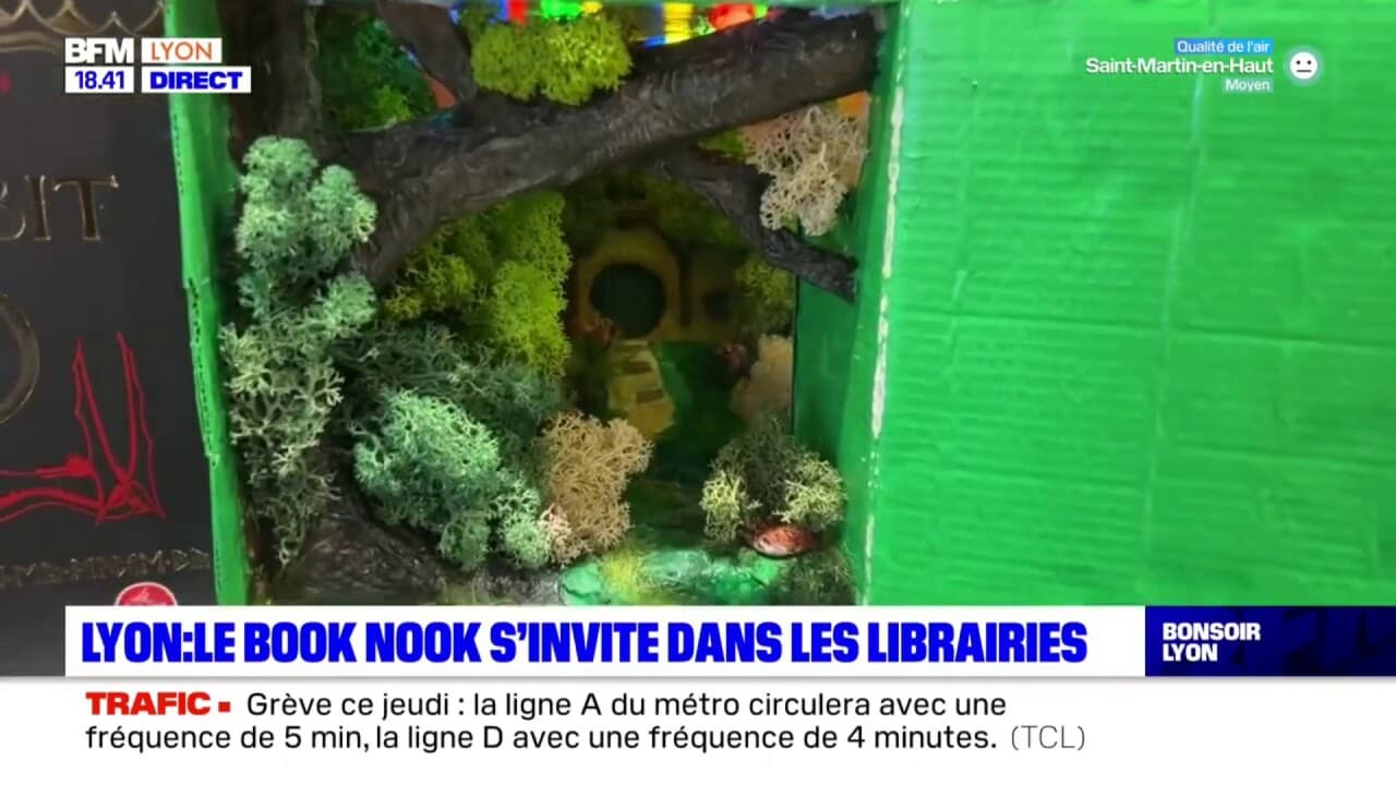 Lyon : les book nook s'invitent dans les librairies