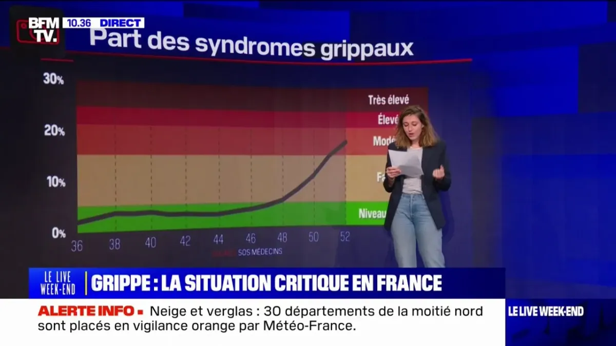 LES ÉCLAIREURS - Grippe: les indicateurs en forte hausse en France