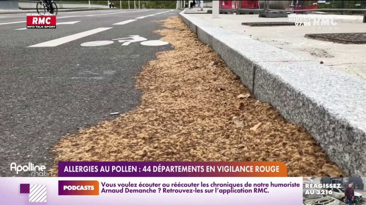 Allergies au pollen: 44 départements en vigilance rouge
