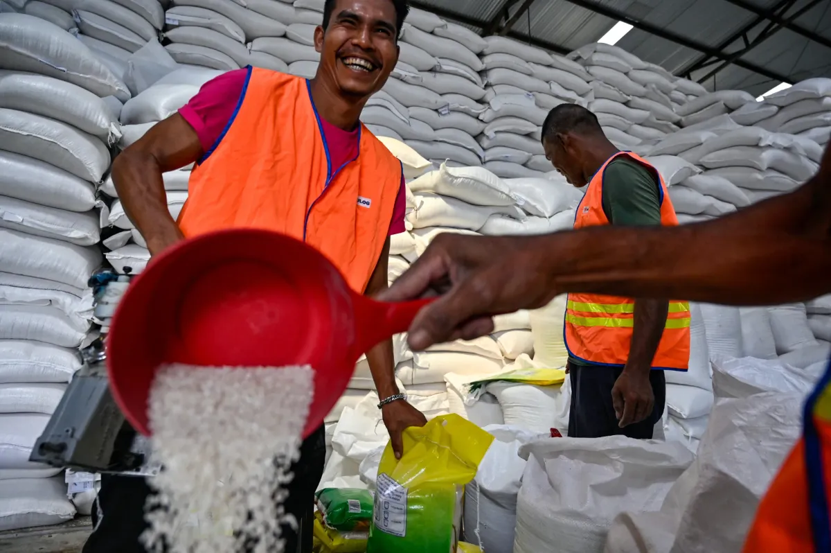 Elle n'a pas importé un seul grain de riz en 2025: pour la première ...