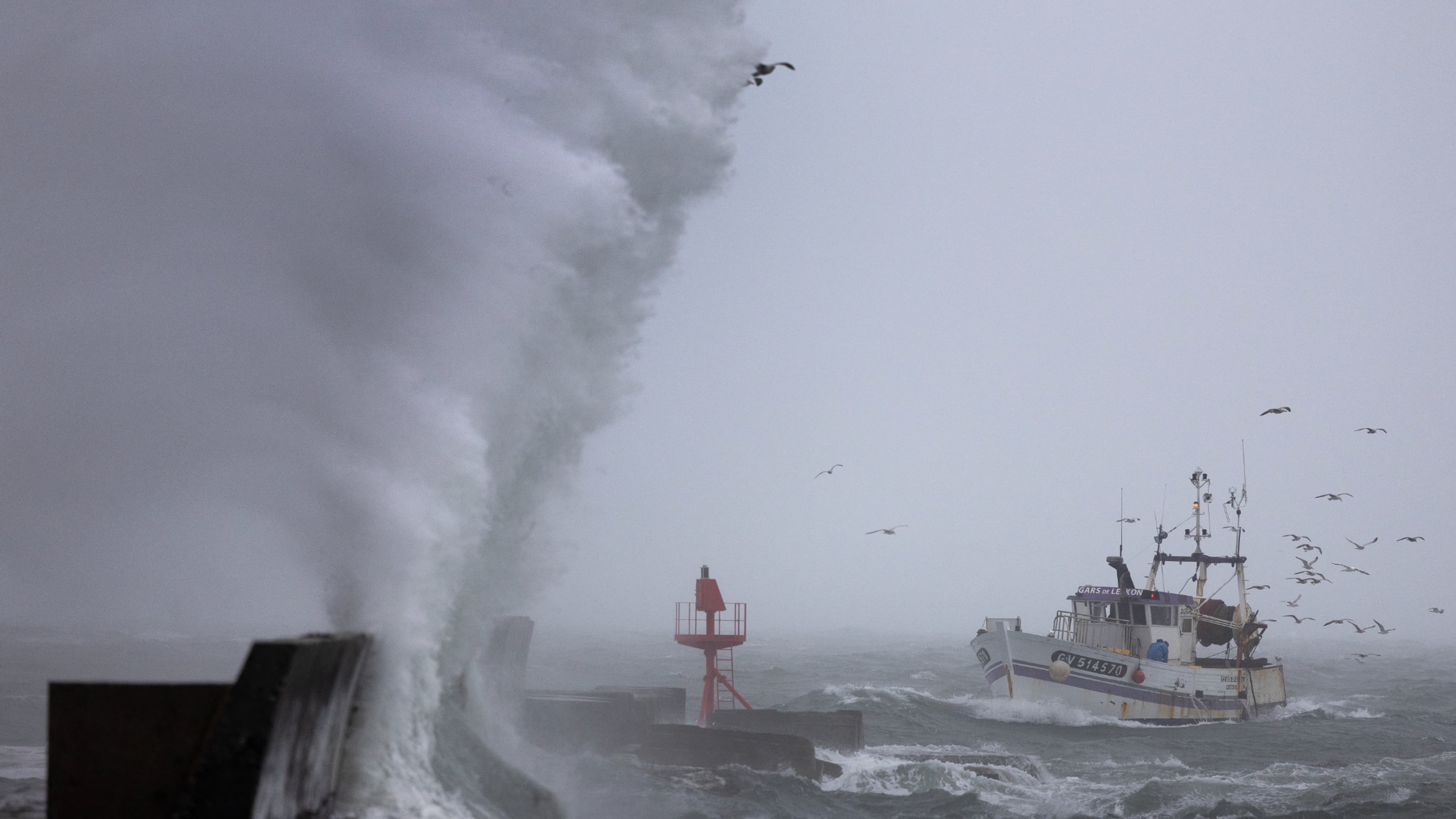 Tempête Benjamin: fortes vagues, chutes d'arbres... Les images ...