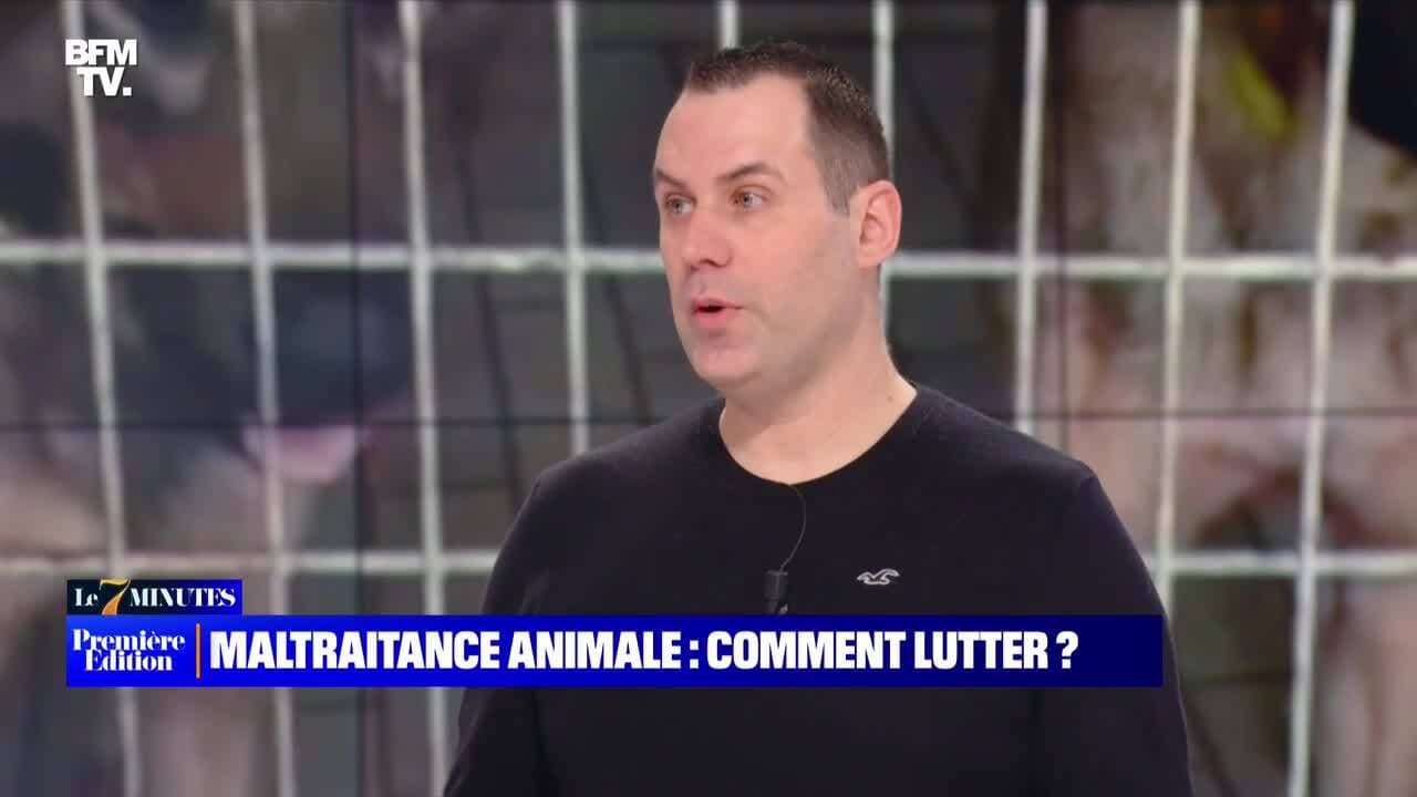 Maltraitance animale : comment lutter ? - 27/01