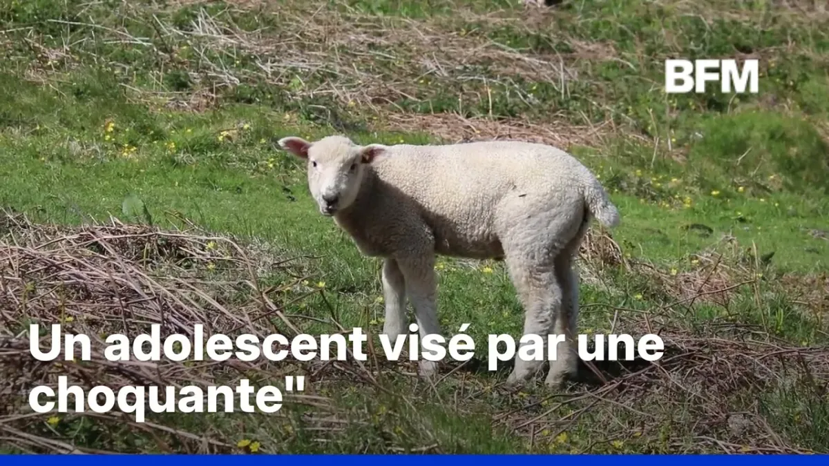 Dignes-les-Bains: un adolescent visé par une plainte pour des faits ...