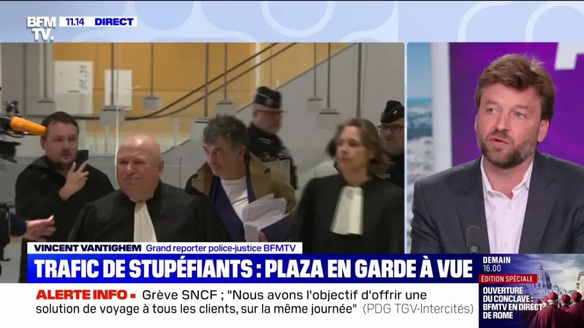 Stéphane Plaza interpellé et placé en garde à vue dans le cadre d'une ...
